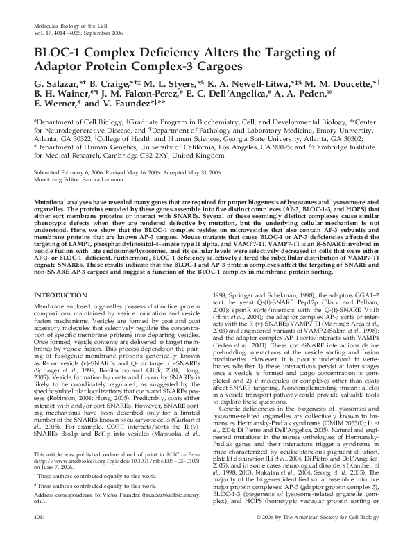 (PDF) BLOC1 Complex Deficiency Alters the Targeting of Adaptor Protein ...