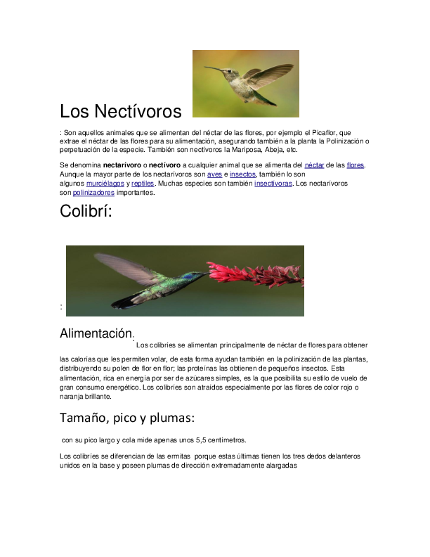 (DOC) Los Nectívoros