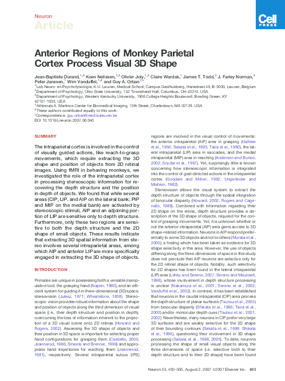 (PDF) Anterior Regions of Monkey Parietal Cortex Process Visual 3D Shape