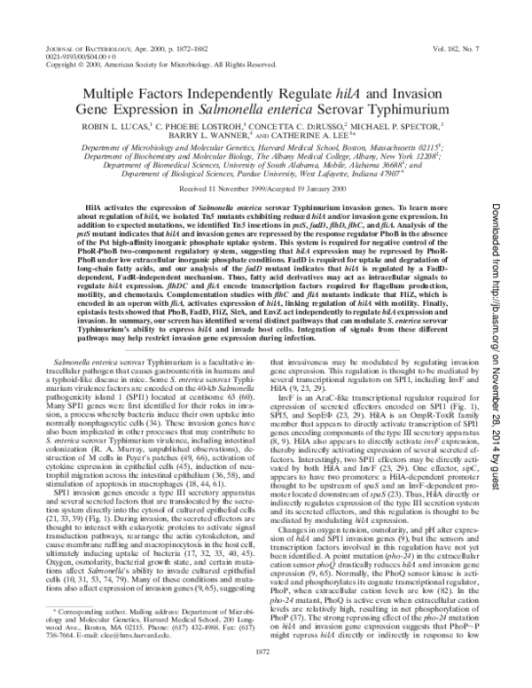 (PDF) Multiple Factors Independently Regulate hilA and Invasion Gene ...