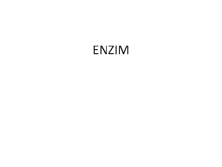 (PPT) ENZIM DAN KOENZIM 1
