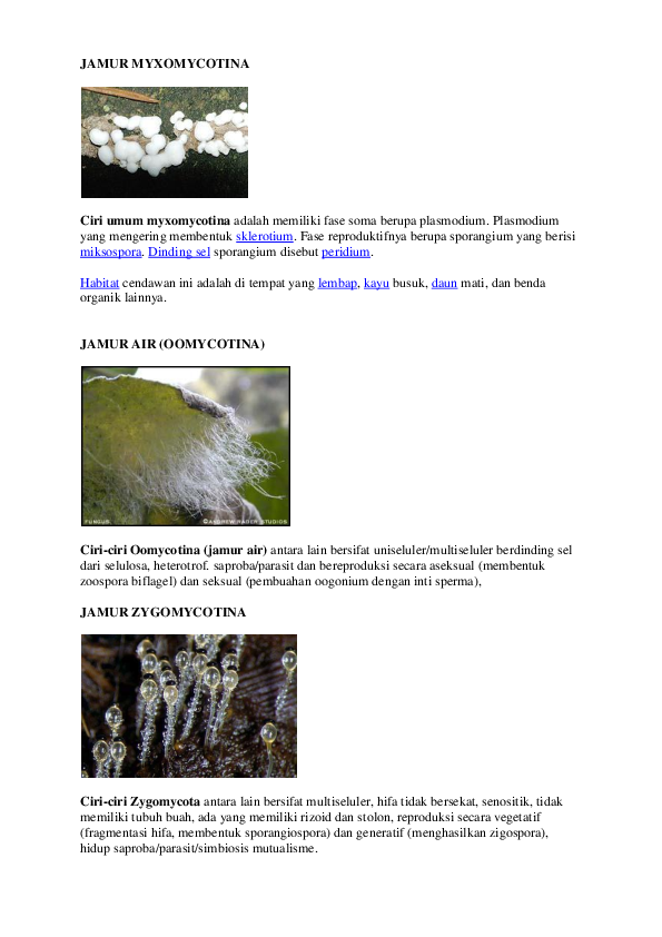 (DOC) JAMUR MYXOMYCOTINA