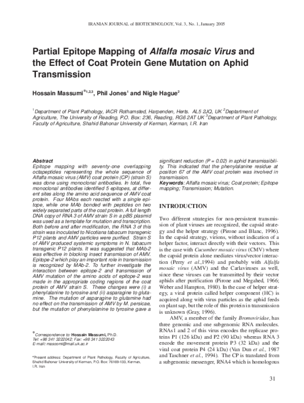 Pdf 13 Bit 205 Ms S Time Interleaved Pipelined Adc With Digital