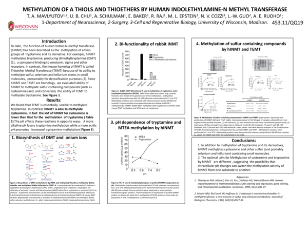 (PDF) Methylation of thiols and thioethers by human indolethylamine-N ...
