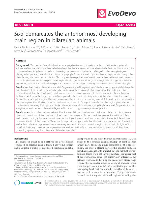 (PDF) Six3 demarcates the anterior-most developing brain region in ...