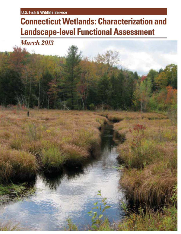 (PDF) Connecticut Wetlands: Characterization and Preliminary Landscape ...