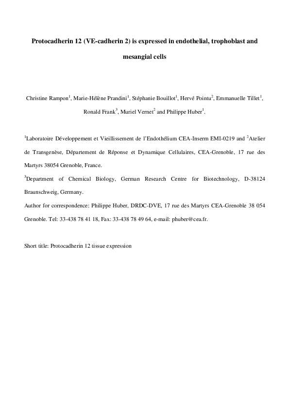 (PDF) Protocadherin 12 (VE-cadherin 2) is expressed in endothelial ...