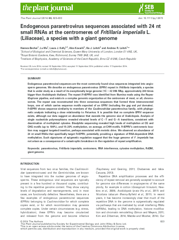 (PDF) Endogenous pararetrovirus sequences associated with 24 nt small ...