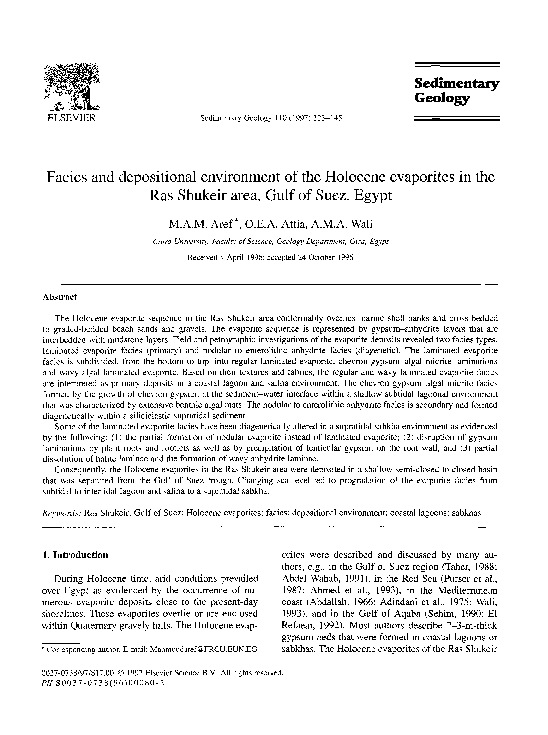 (PDF) Facies and depositional environment of the Holocene evaporites in ...