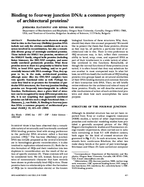 (PDF) Binding to four-way junction DNA: a common property of ...