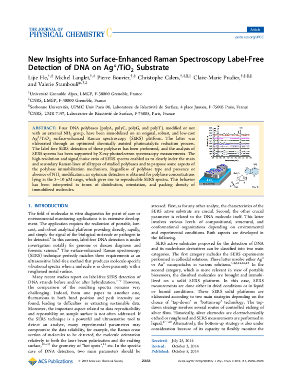 (PDF) New Insights into Surface-Enhanced Raman Spectroscopy Label-Free Detection of DNA on Ag ...