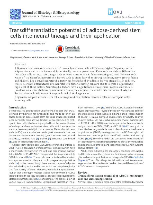 (PDF) Transdifferentiation potential of adipose-derived stem cells into ...