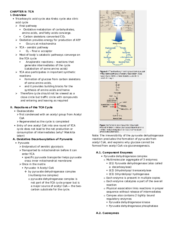 (DOC) CHAPTER 9: TCA