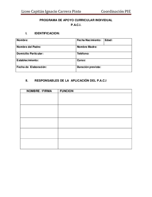 (DOC) PROGRAMA DE APOYO CURRICULAR INDIVIDUAL NOMBRE / FIRMA FUNCION