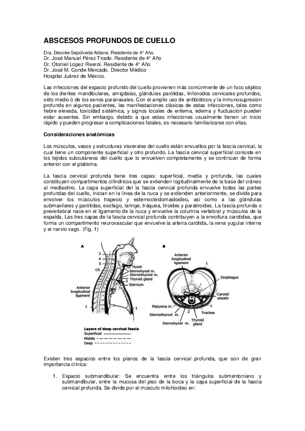 (PDF) ABSCESOS PROFUNDOS DE CUELLO