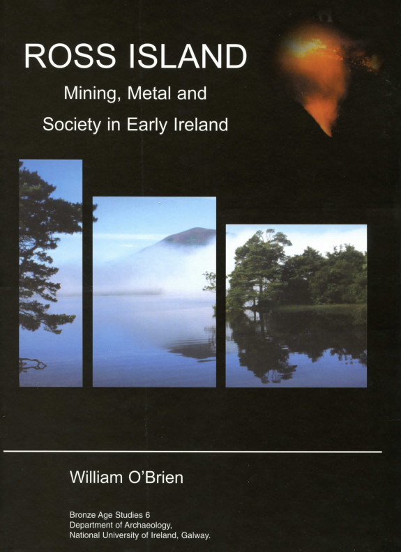 (PDF) Ross Island. Mining, Metal and Society in Early Ireland