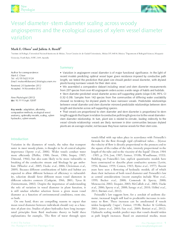 (PDF) The challenge of tree height in Eucalyptus regnans : when xylem ...