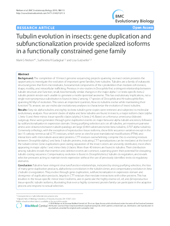 (PDF) Tubulin evolution in insects: gene duplication and ...