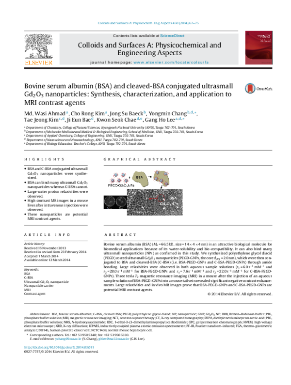 (PDF) Bovine serum albumin (BSA) and cleaved-BSA conjugated ...