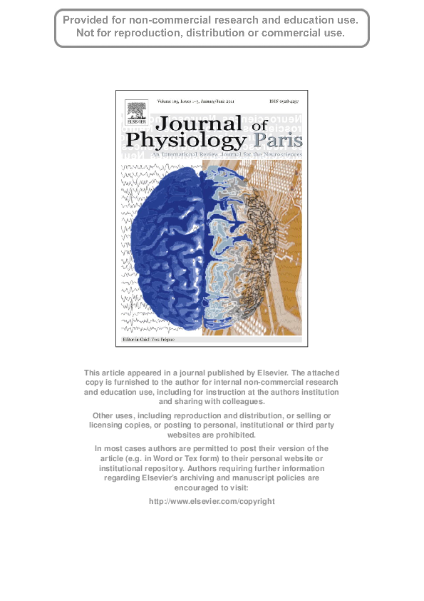 (PDF) Adaptive training session for a P300 speller brain–computer interface