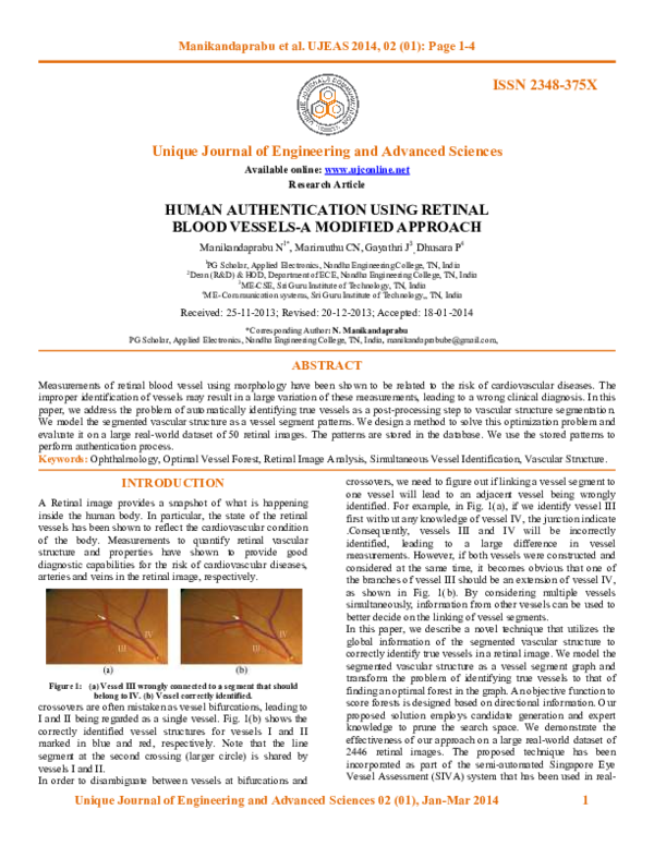 (PDF) HUMAN AUTHENTICATION USING RETINAL BLOOD VESSELS-A MODIFIED APPROACH