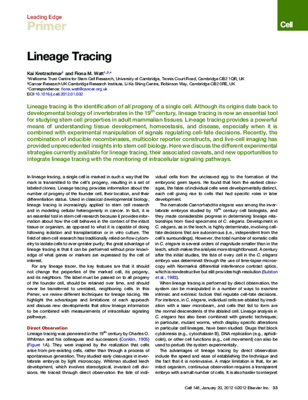 (PDF) Leading Edge Primer Lineage Tracing