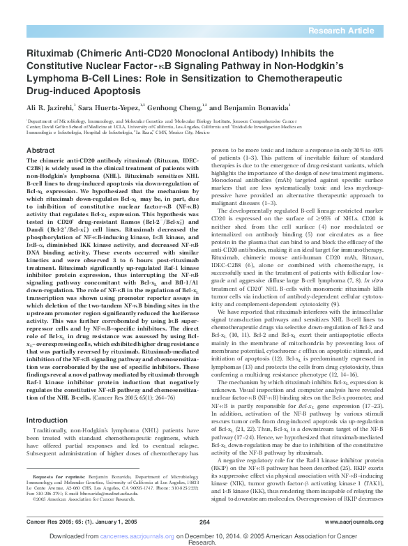 (PDF) Rituximab (Chimeric Anti-CD20 Monoclonal Antibody) Inhibits the ...