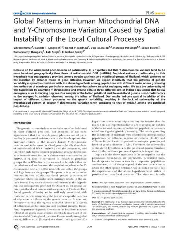 (PDF) Global Patterns in Human Mitochondrial DNA and Y-Chromosome ...
