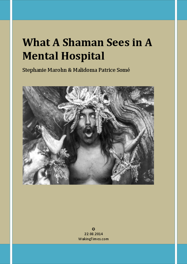 (PDF) Stephanie Marohn - What A Shaman Sees in A Mental Hospital