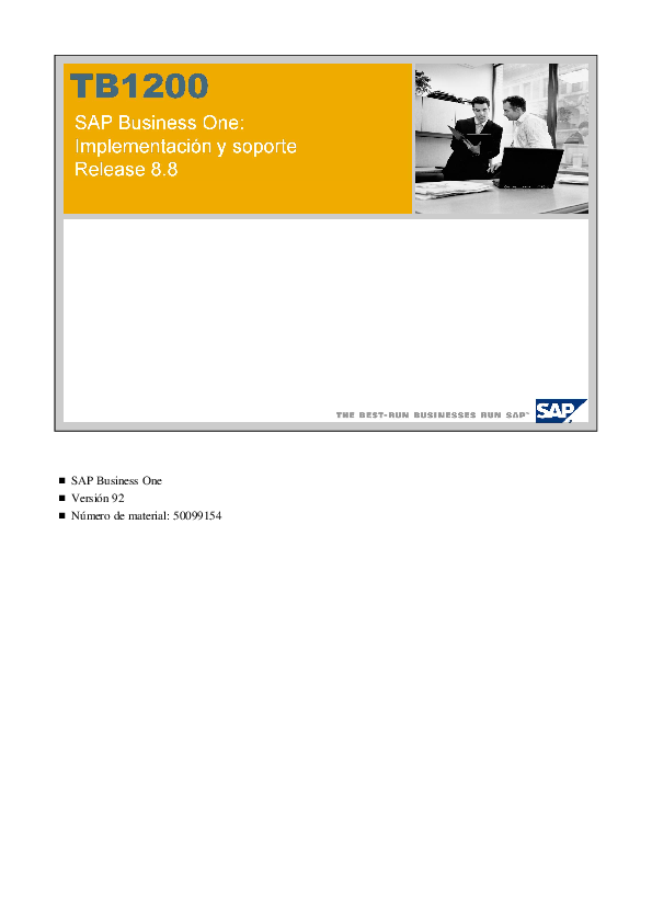 Pdf Sap Business One Ludagang