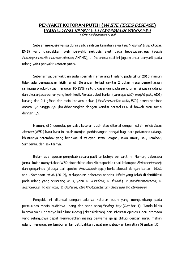 (PDF) White Feces Syndrome (Sindrom Feses Putih)