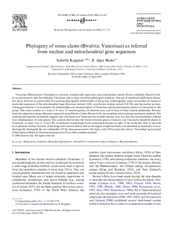 (PDF) Phylogeny of venus clams (Bivalvia: Venerinae) as inferred from ...