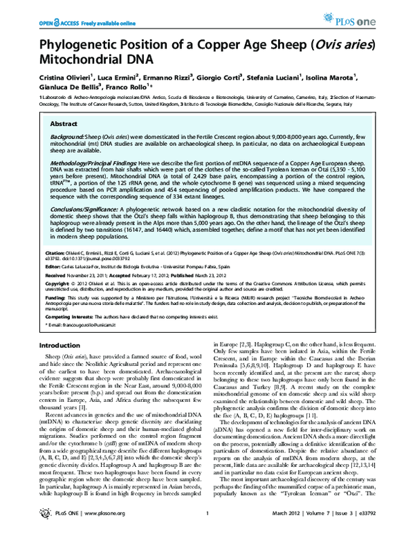 (PDF) Phylogenetic Position of a Copper Age Sheep (Ovis aries ...
