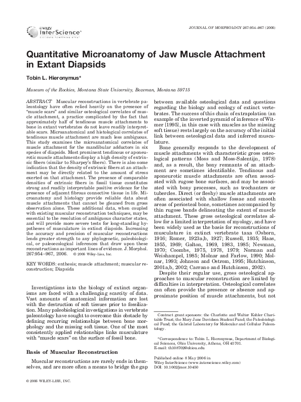 (PDF) Quantitative Microanatomy of Jaw Muscle Attachment in Extant Diapsids