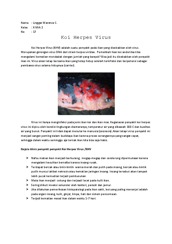 (DOC) Koi Herpes Virus, Herpes yang menyerang Koi