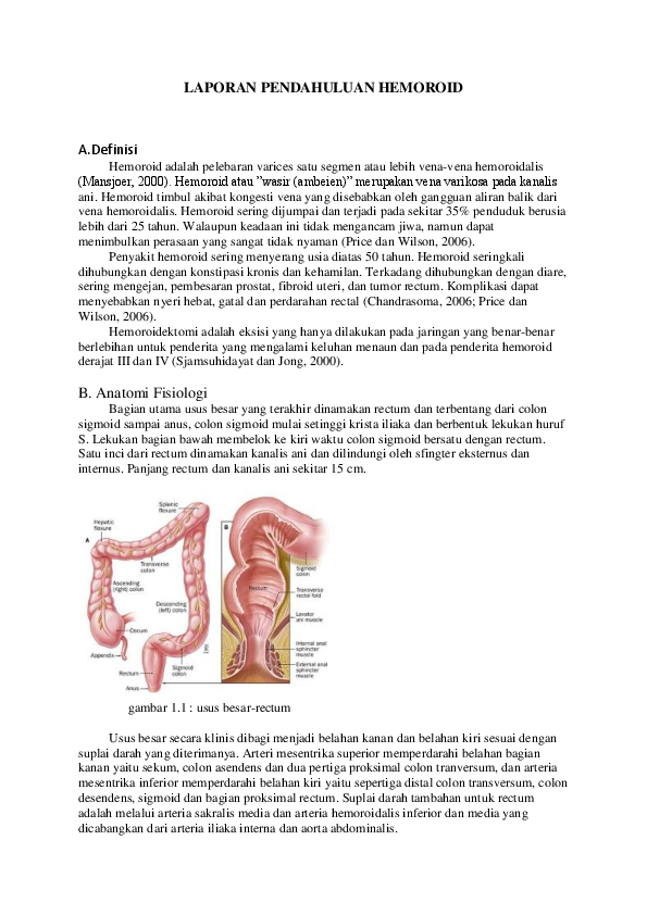 (DOC) LAPORAN PENDAHULUAN HEMOROID