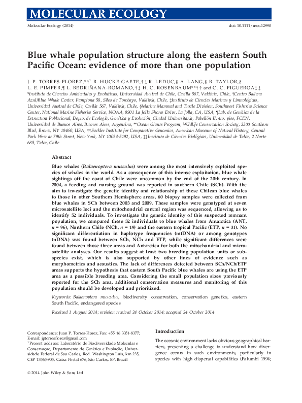 (PDF) Blue whale population structure along the eastern South Pacific ...