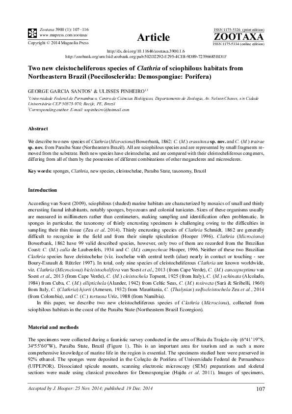 (PDF) Two new cleistocheliferous species of Clathria of sciophilous ...