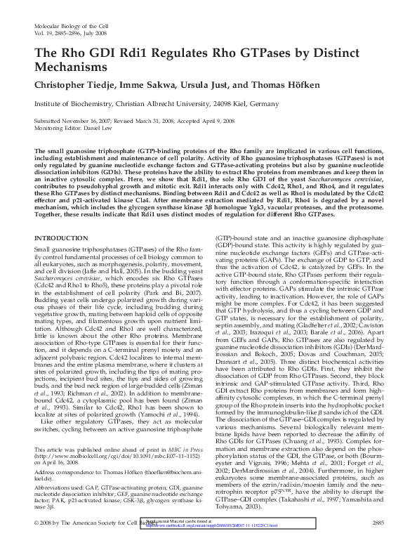 (PDF) The Rho GDI Rdi1 Regulates Rho GTPases by Distinct Mechanisms
