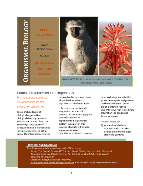 25++ Lab exercises for organismal biology machine | extremeabsworkout