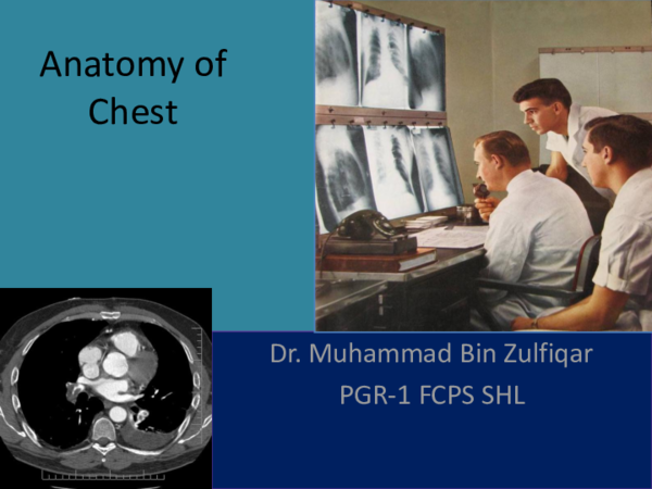 (PPT) Anatomy of Chest Plain radiograph and CT