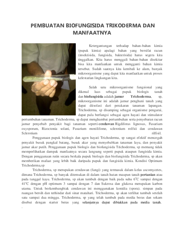 (DOC) PEMBUATAN BIOFUNGISIDA TRIKODERMA DAN MANFAATNYA