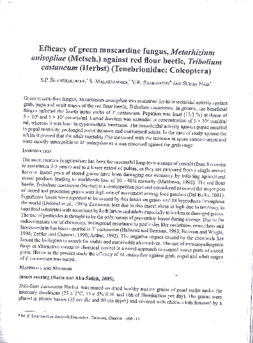 (PDF) Efficacy of green muscardine fungus, Metarhizium anisopliae (Metsch.) against red flour ...