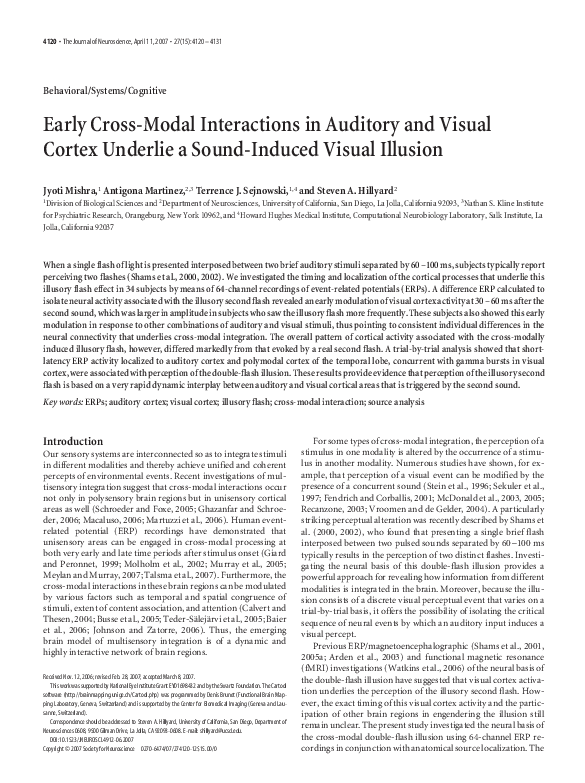 (PDF) Early Cross-Modal Interactions in Auditory and Visual Cortex ...
