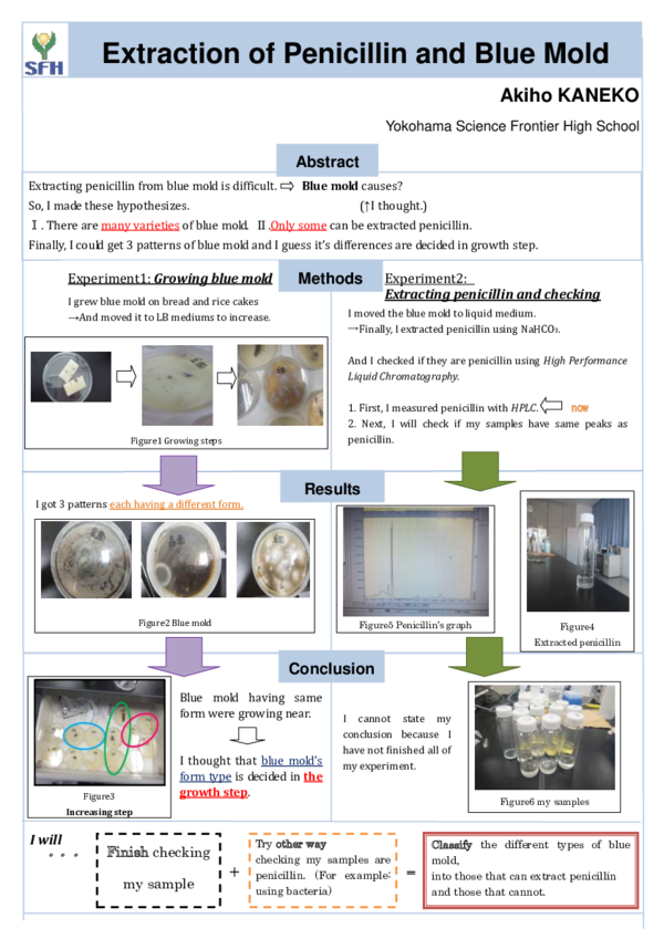(PDF) Extraction of Penicillin and Blue Mold