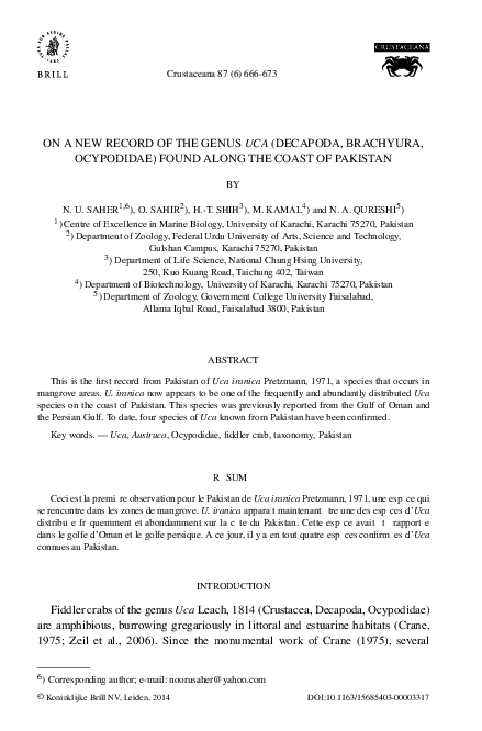 (PDF) ON A NEW RECORD OF THE GENUS UCA (DECAPODA, BRACHYURA, OCYPODIDAE ...