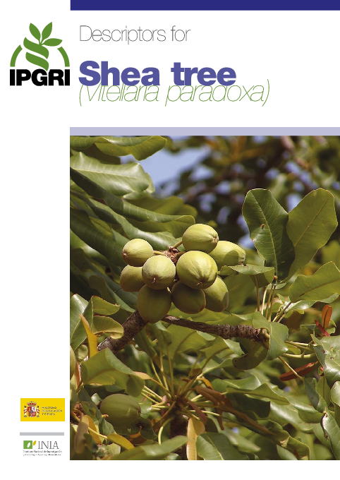(PDF) Descriptors for Shea tree (Vitellaria paradoxa)