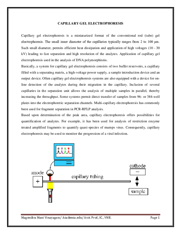 (PDF) Capillary gel electrophoresis