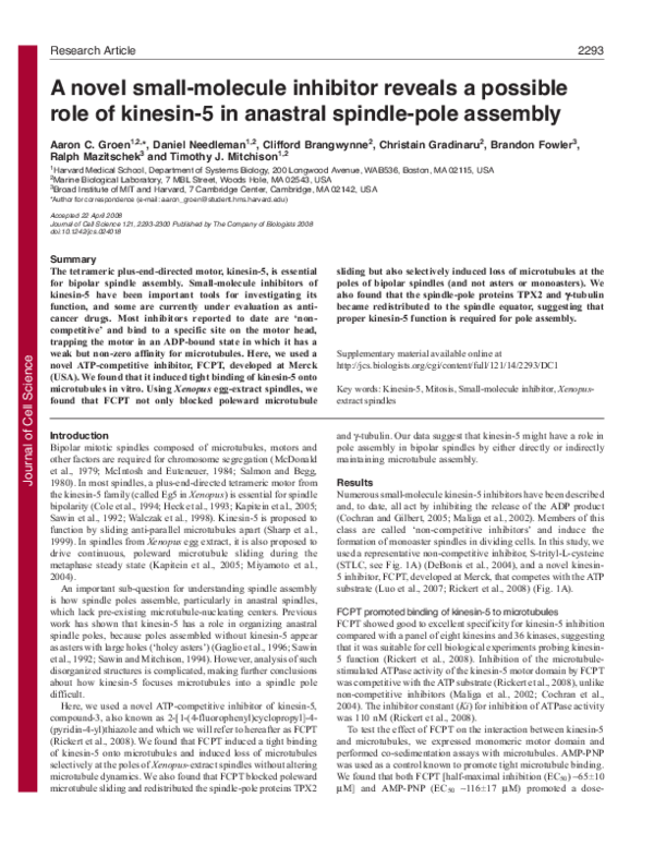 (PDF) A novel small-molecule inhibitor reveals a possible role of ...
