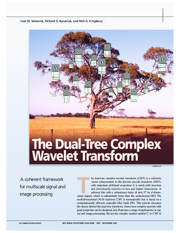 (PDF) Basics of Dual Tree Complex Wavelet Transform